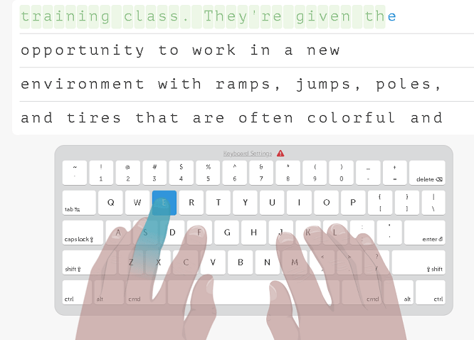 영어 타자 연습 프로그램 및 사이트 추천 - 도라가이드